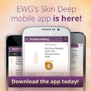 Pretty Toxic | Untangling the Beauty Industry